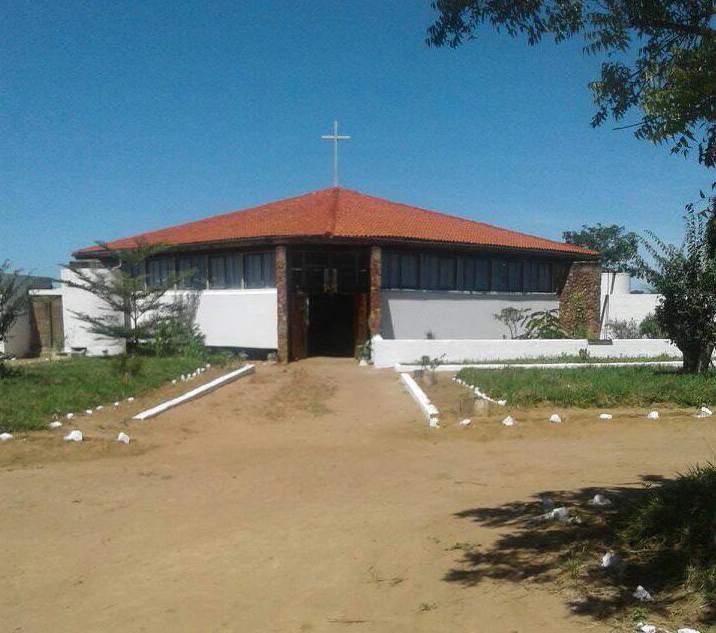 June 2020 - African Palms